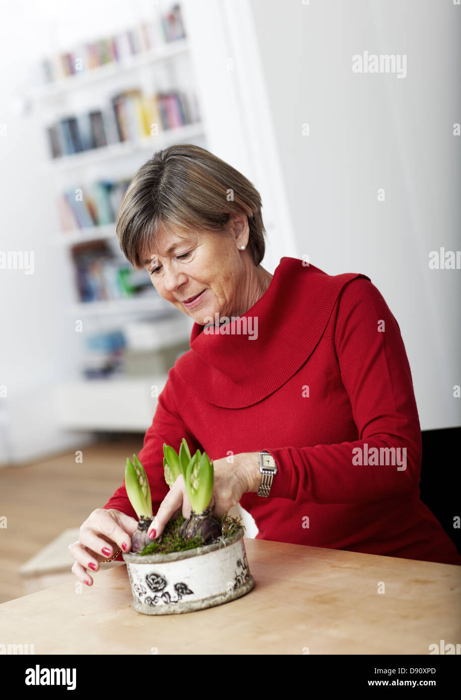 Pottering at home hi-res stock photography and images - Alamy