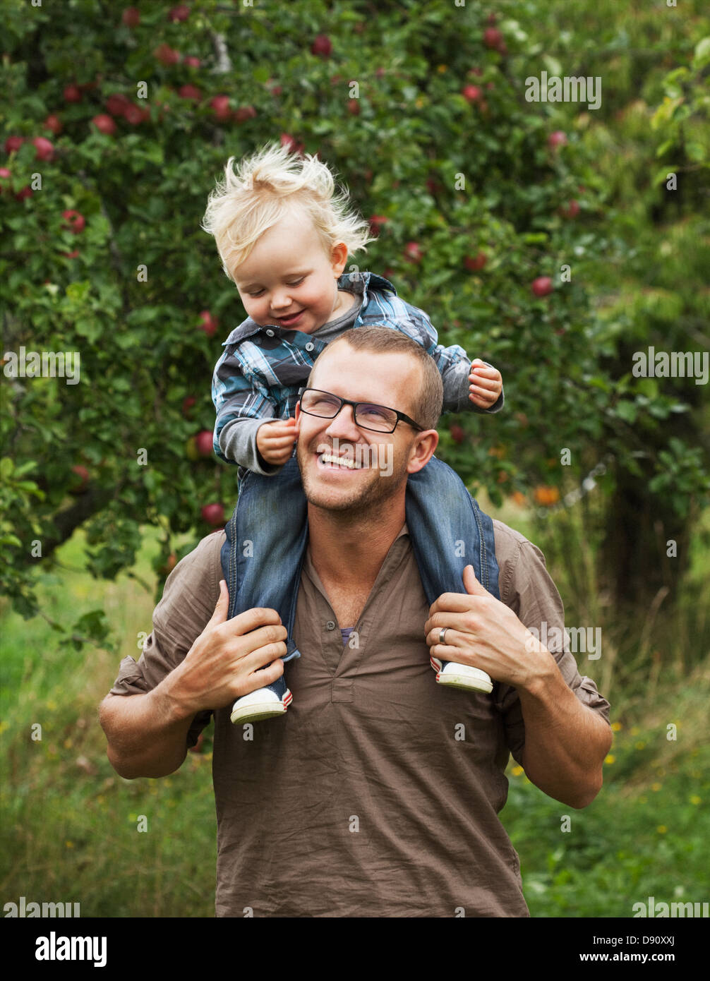 Apple leave close up hi-res stock photography and images - Alamy