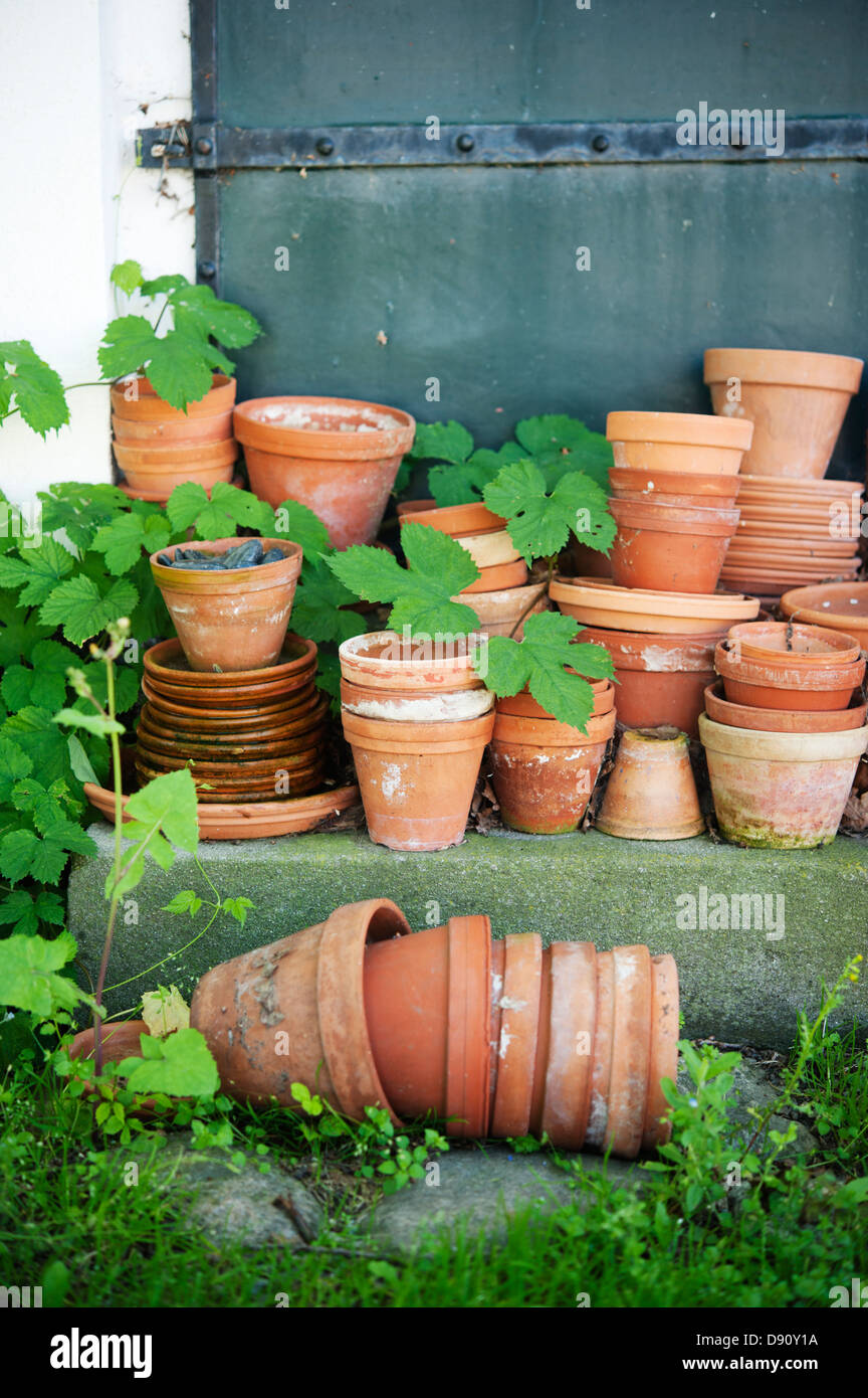 Close up of ceramic flower pots Stock Photo - Alamy