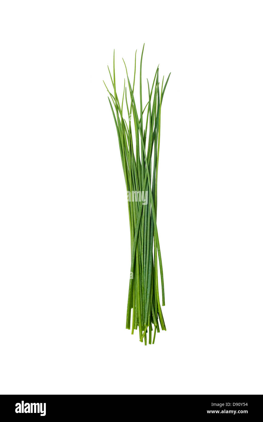 Studio shot of fresh chive Stock Photo - Alamy