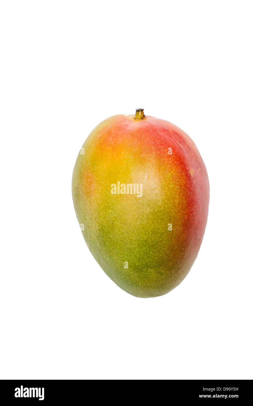 Mango square hi-res stock photography and images - Alamy