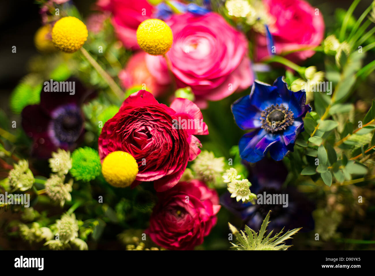 flowers, posey 2 Stock Photo - Alamy