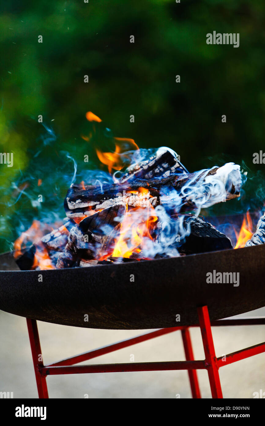 Burning wood in barbecue grill Stock Photo - Alamy