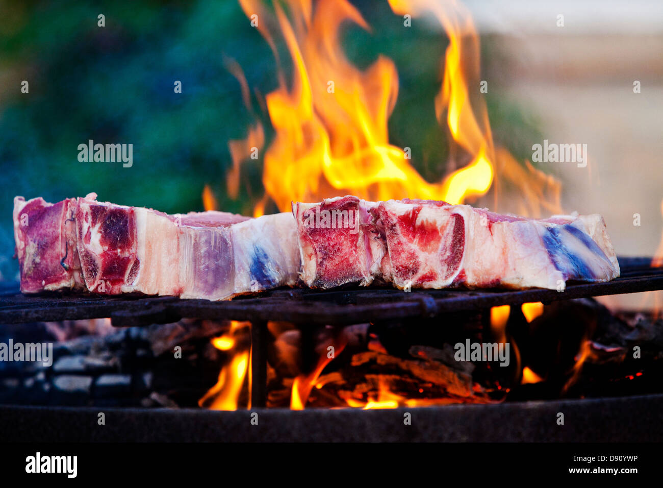 Meat on barbecue grill Stock Photo - Alamy