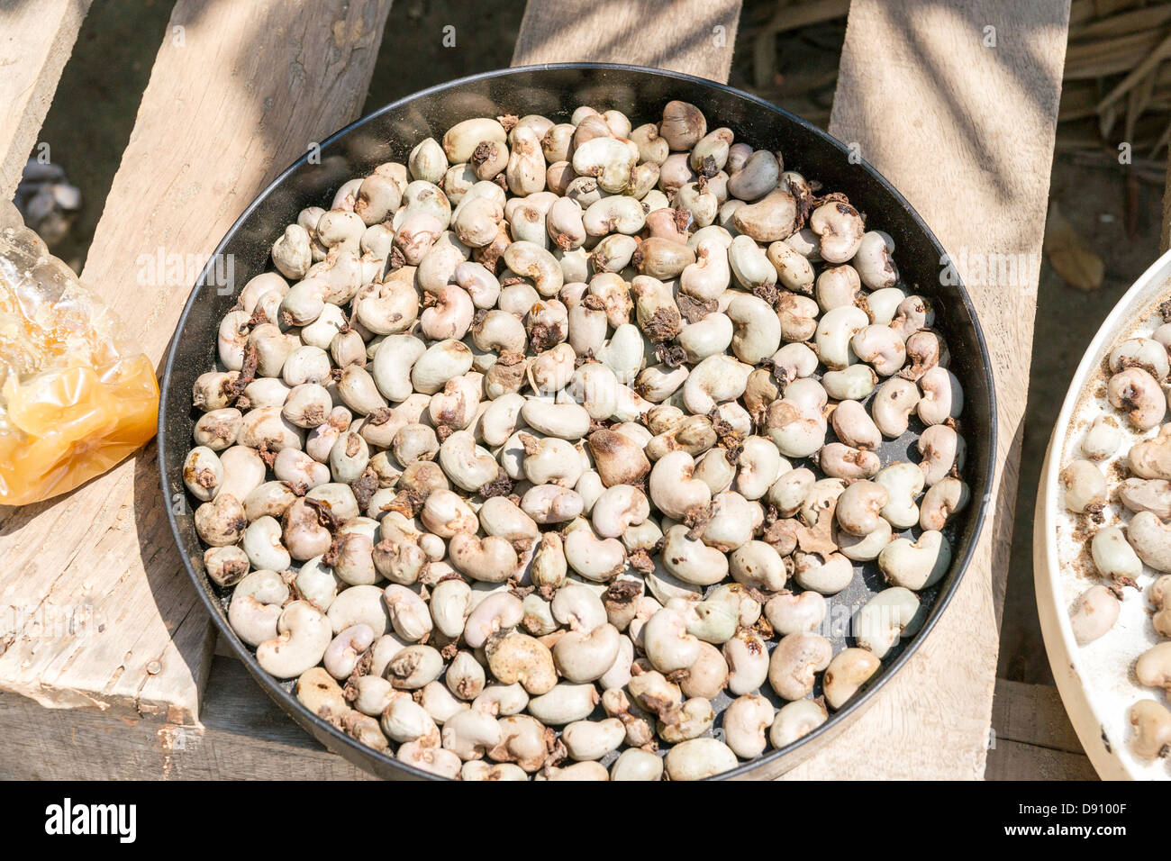 Cashew Nuts Drying In The Sun High Resolution Stock Photography and ...