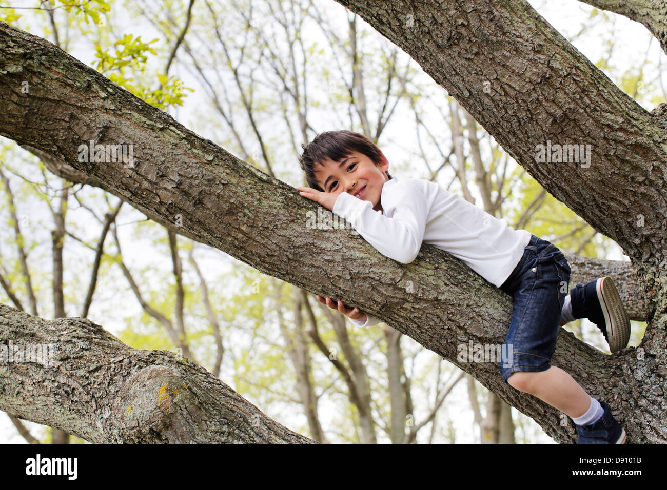 Boy climbing tree playful hi-res stock photography and images - Alamy