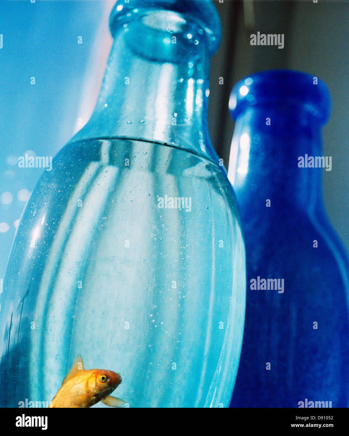 A goldfish in a vase, Sweden Stock Photo - Alamy