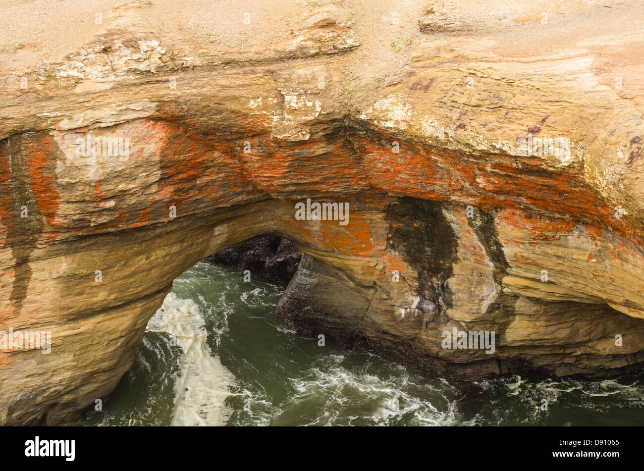 Oregon, Otter Rock, Devils Punch Bowl State Park. Water washes through ...