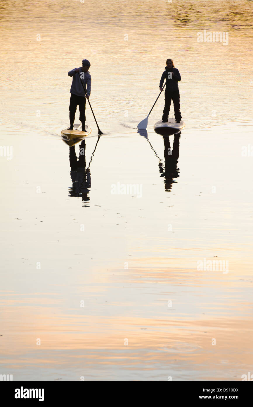 Two people rowing paddle boards in water at dusk, rear view Stock Photo ...
