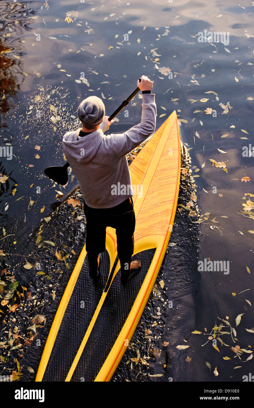 Man rowing paddle board in water, elevated view Stock Photo - Alamy
