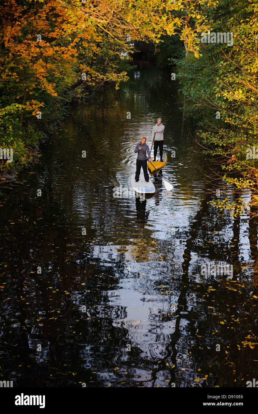 Two people rowing paddle boards in autumn trees, elevated view Stock ...