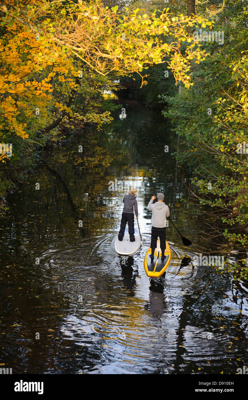 Two people rowing paddle boards in autumn trees, elevated view Stock ...
