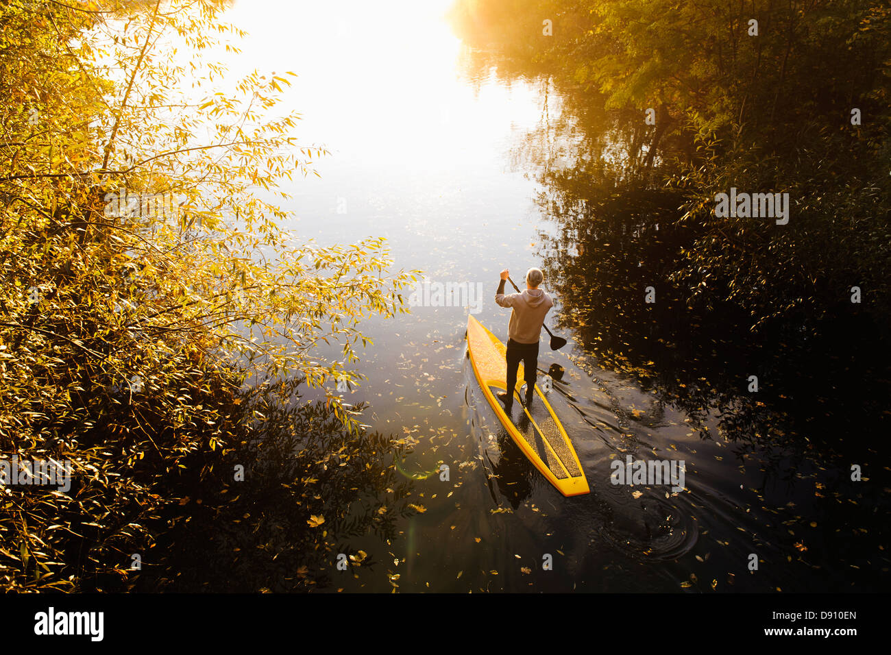 Man rowing paddle board in water, elevated view Stock Photo - Alamy