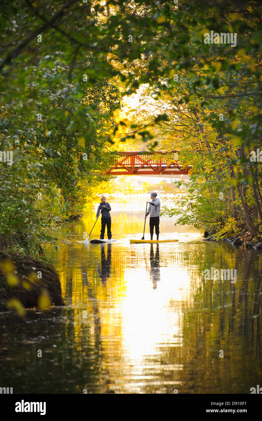Two people rowing paddle boards in autumn trees Stock Photo - Alamy