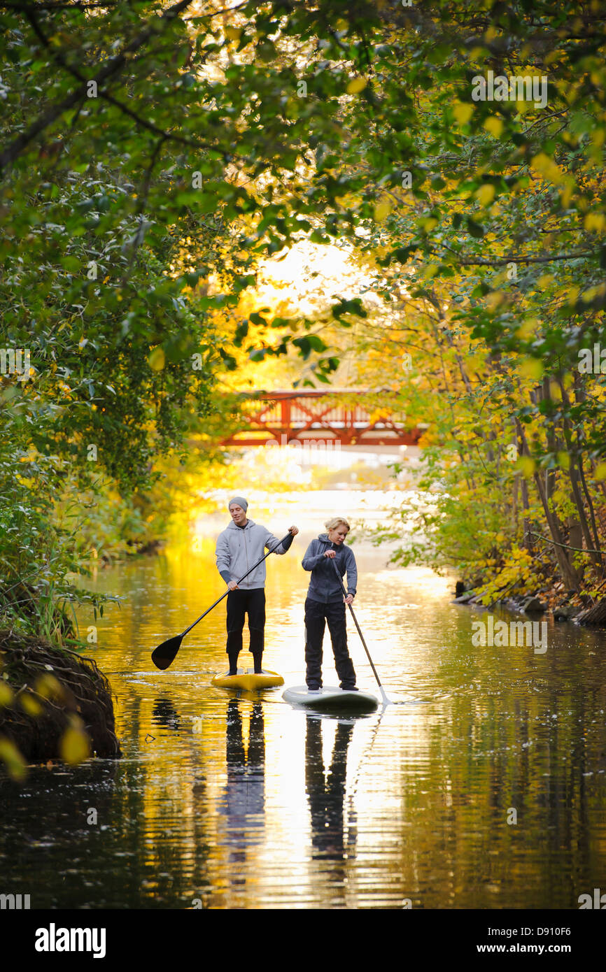 Two people rowing paddle boards in autumn trees Stock Photo - Alamy