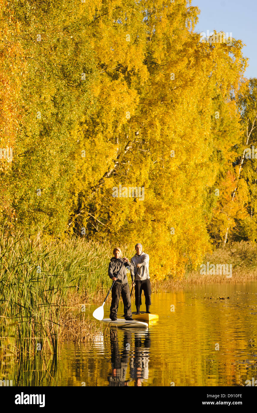 Two people rowing paddle boards in autumn trees Stock Photo - Alamy