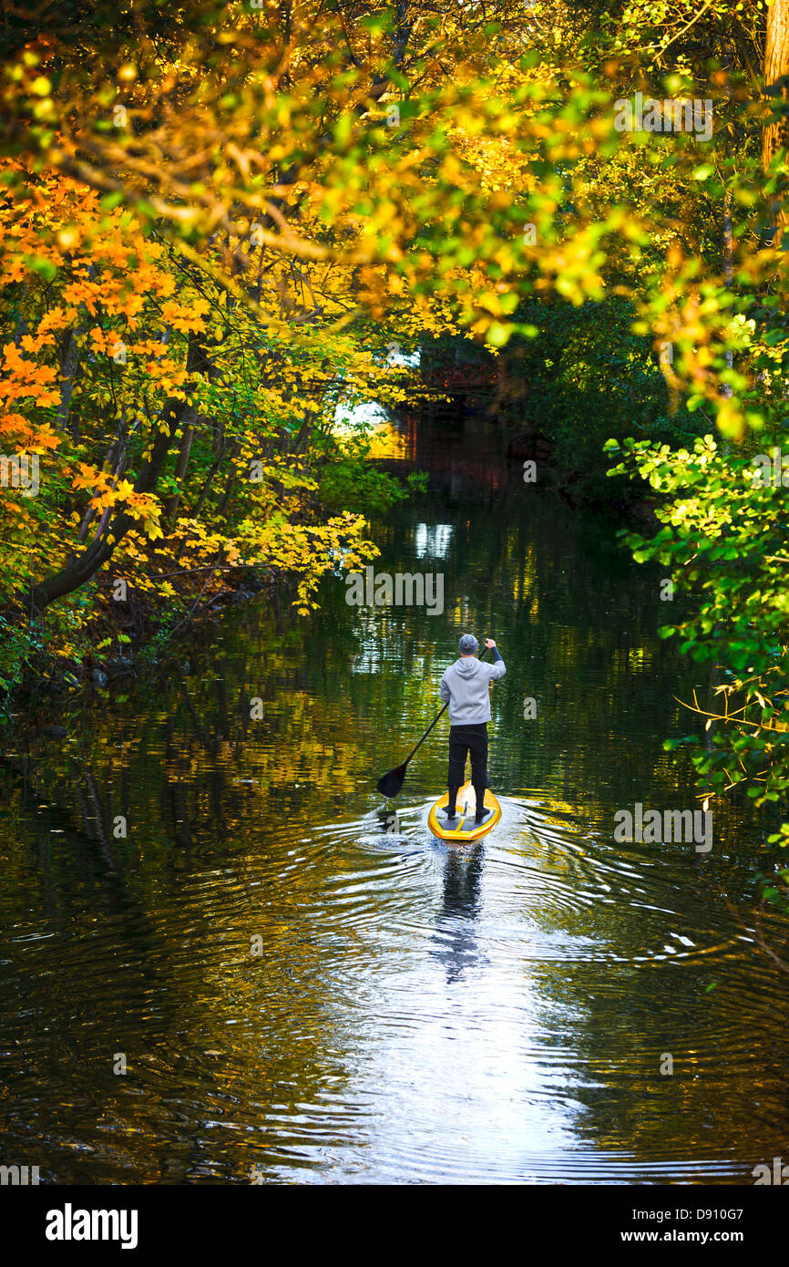 Man rowing paddle board in water Stock Photo - Alamy