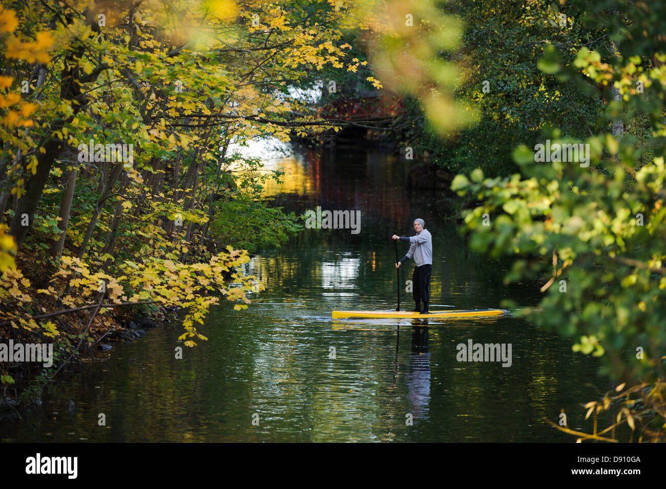 Man rowing paddle board in water Stock Photo - Alamy
