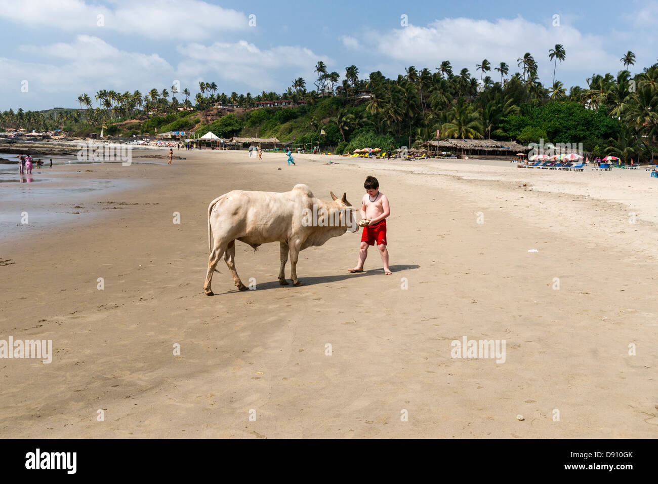 Vagator beach in Goa India Stock Photo - Alamy