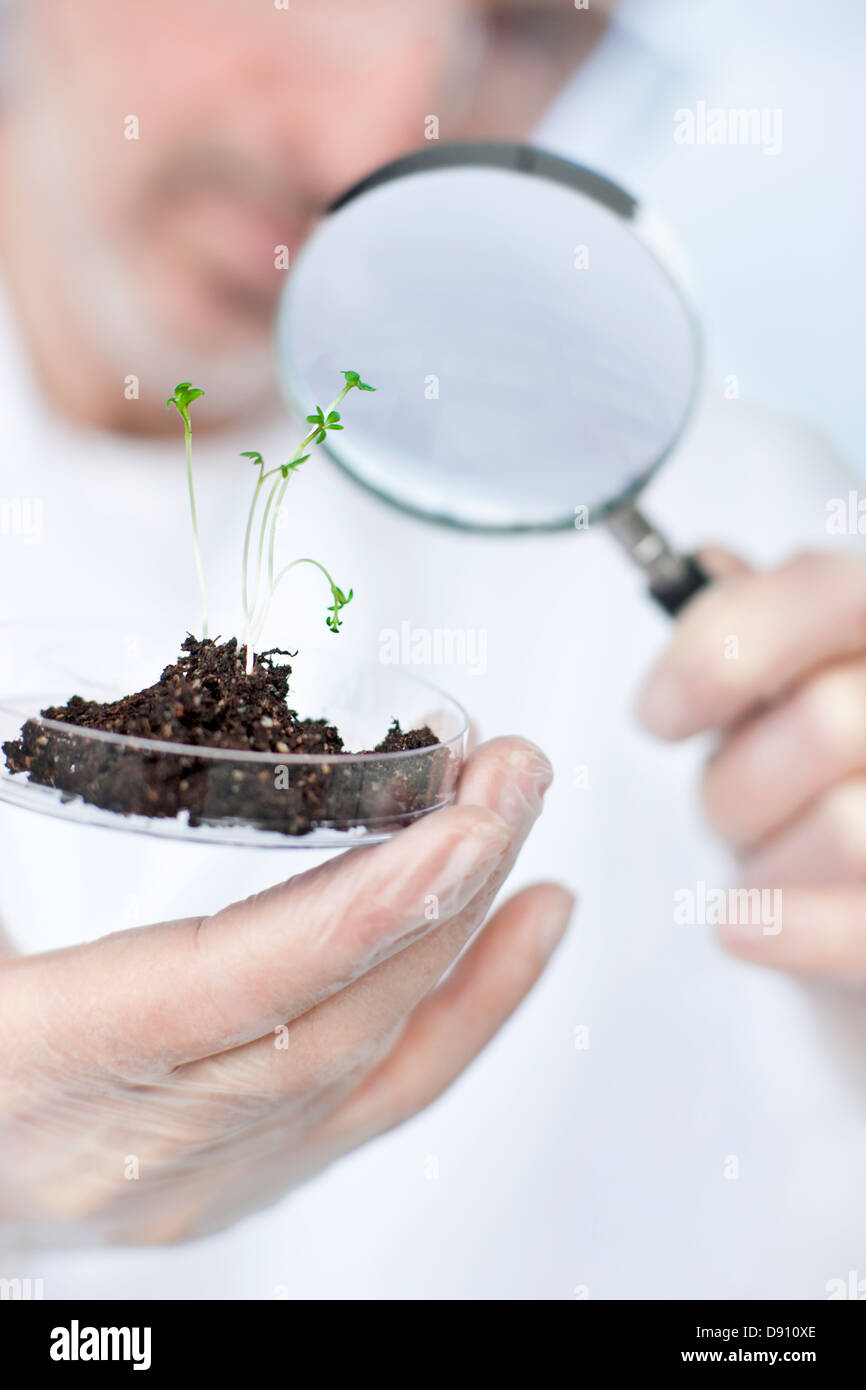 Soil scientist hi-res stock photography and images - Alamy
