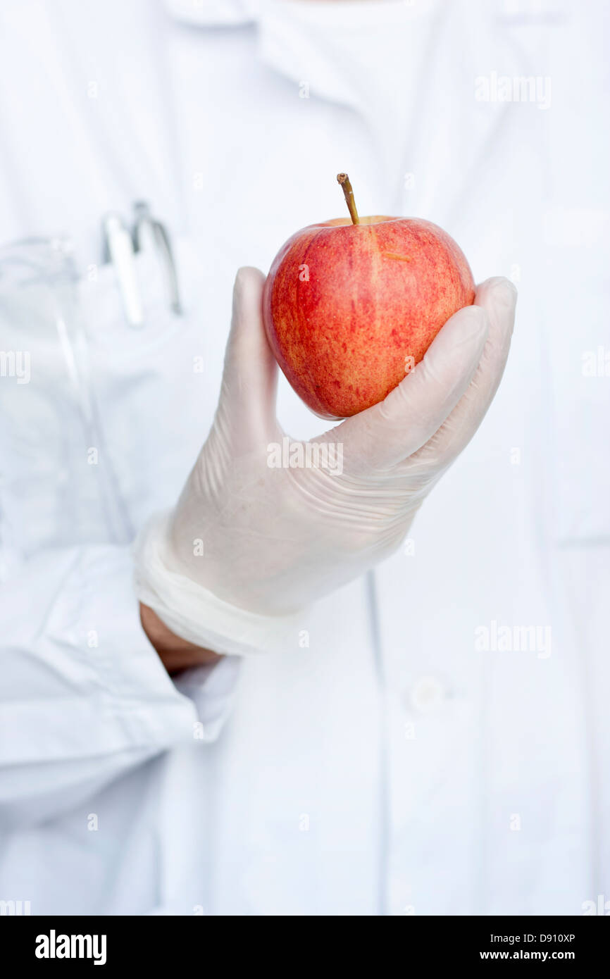 Laboratory technician holding apple Stock Photo - Alamy