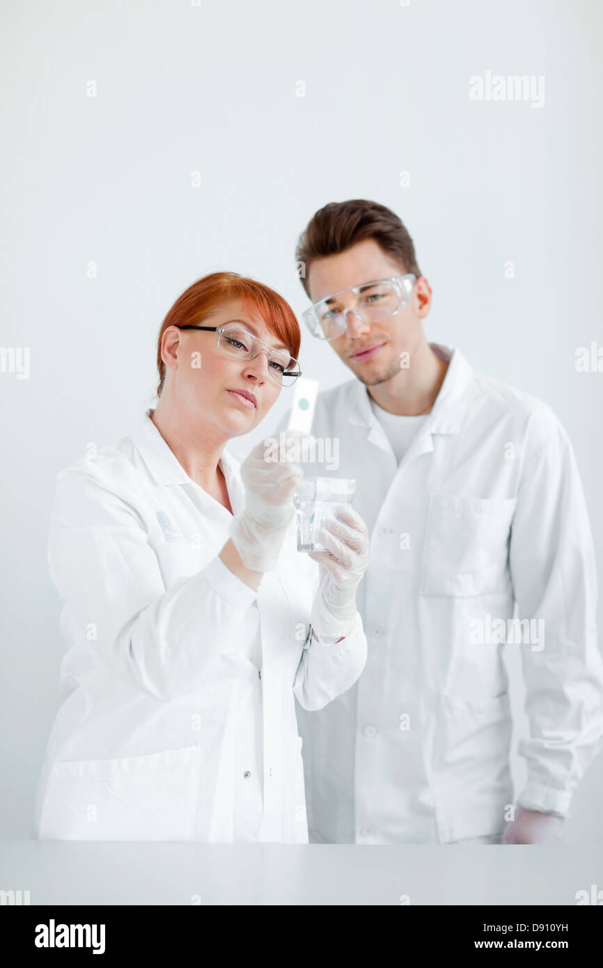 Two scientists working in laboratory Stock Photo - Alamy