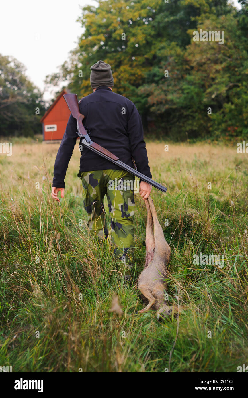 Animal hunter deer roe hi-res stock photography and images - Alamy