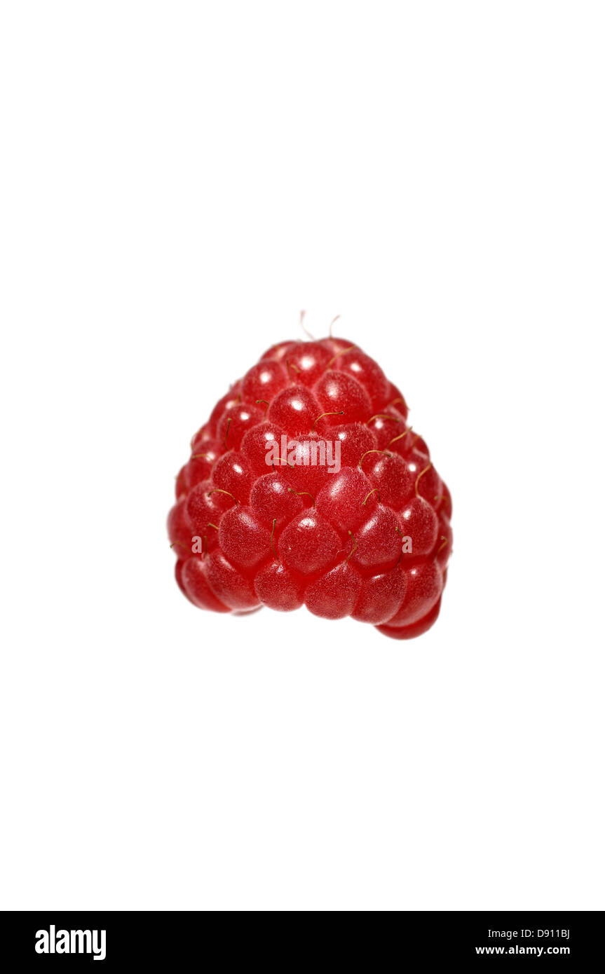 Image raspberry Cut Out Stock Images & Pictures - Alamy