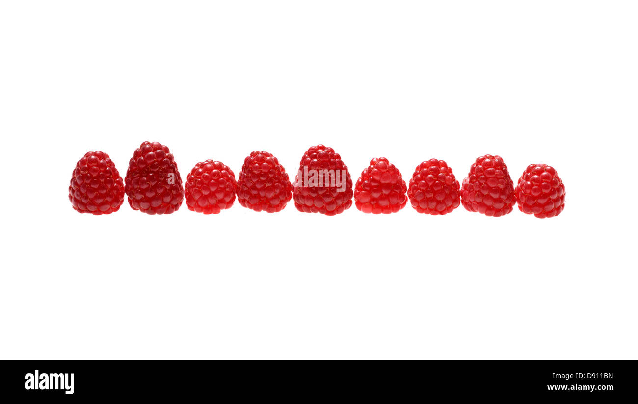 Row of raspberries hi-res stock photography and images - Alamy