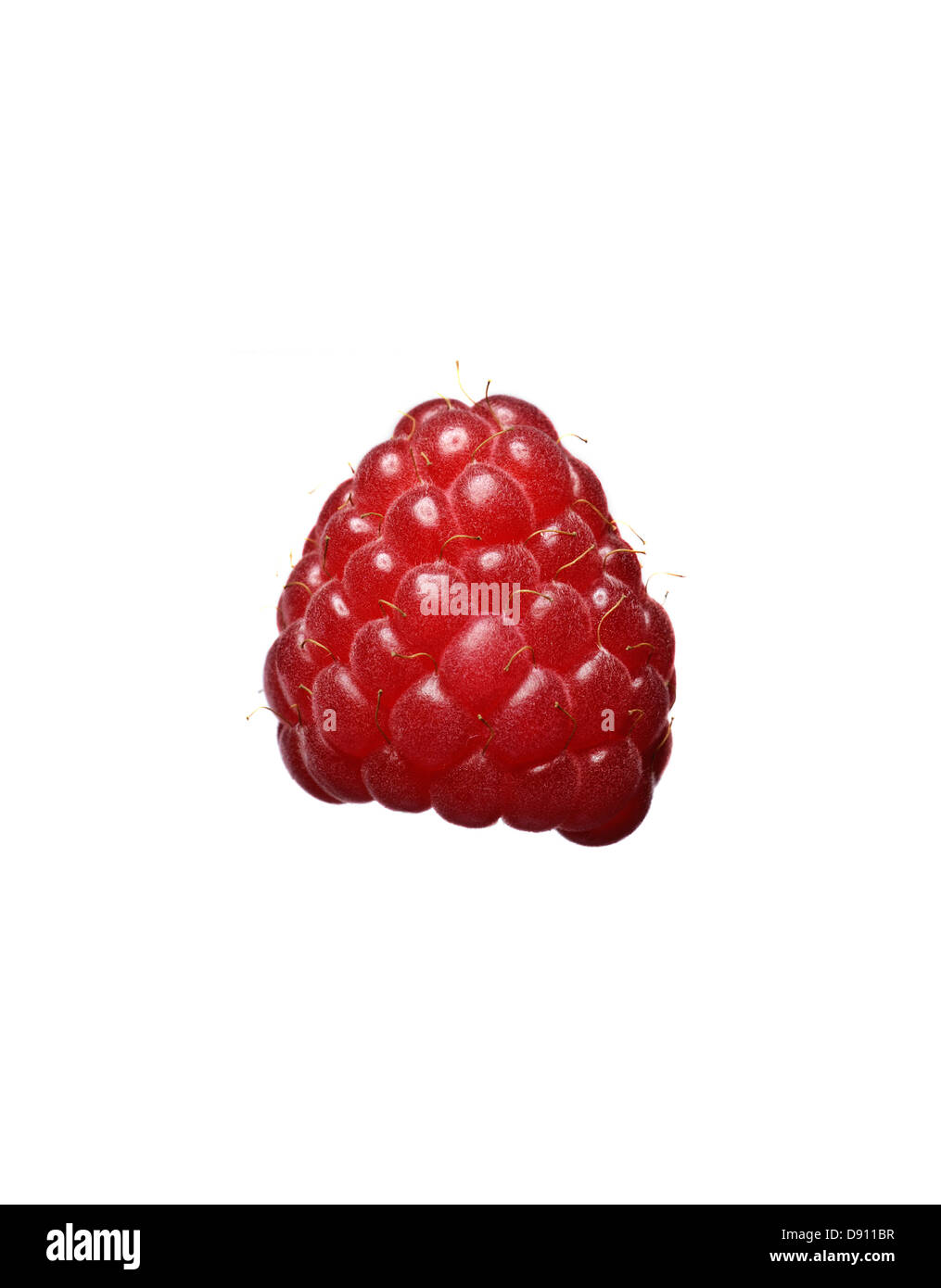 A raspberry hi-res stock photography and images - Alamy