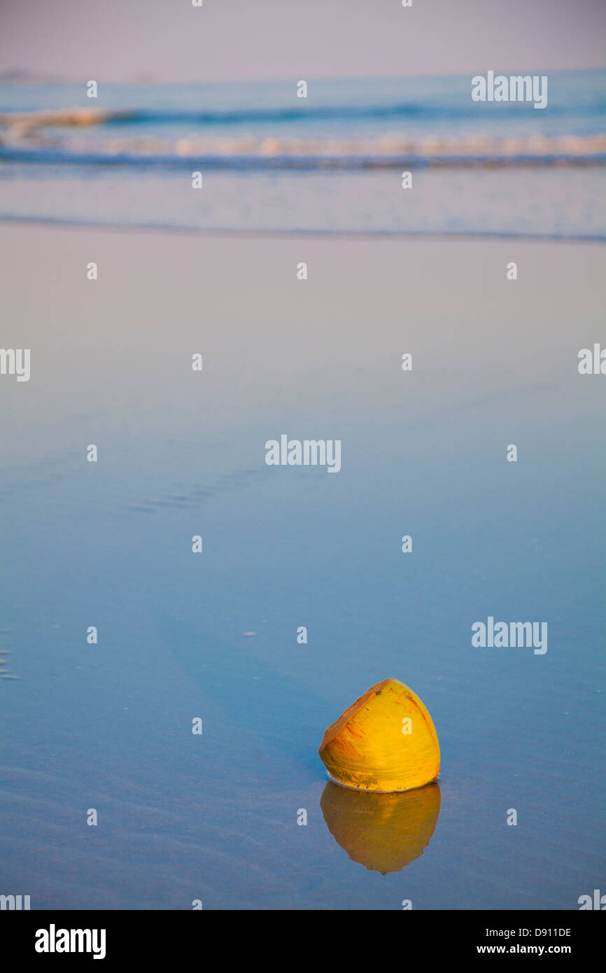 Yellow fruit on beach Stock Photo - Alamy