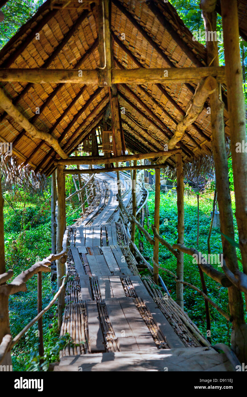 Covered footpath in forest Stock Photo - Alamy