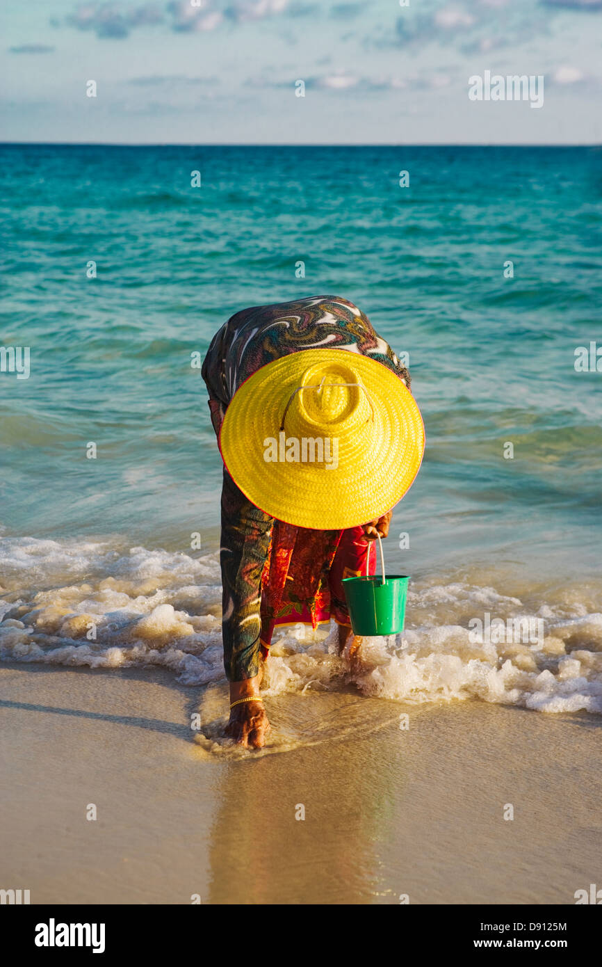 Pick up shells hi-res stock photography and images - Alamy