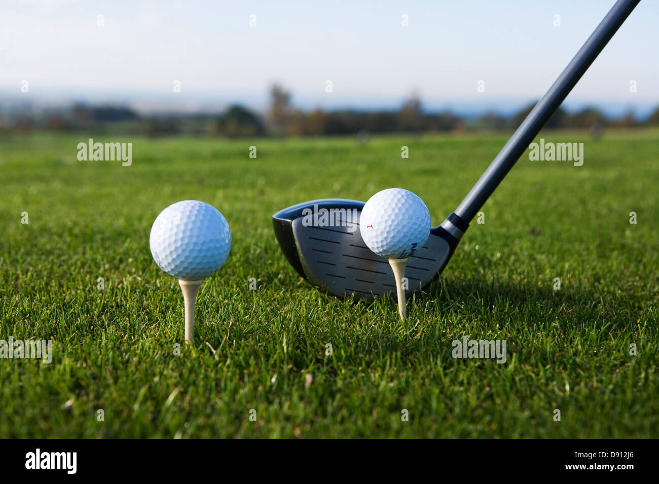 Golfballs on pegs, close-up Stock Photo - Alamy