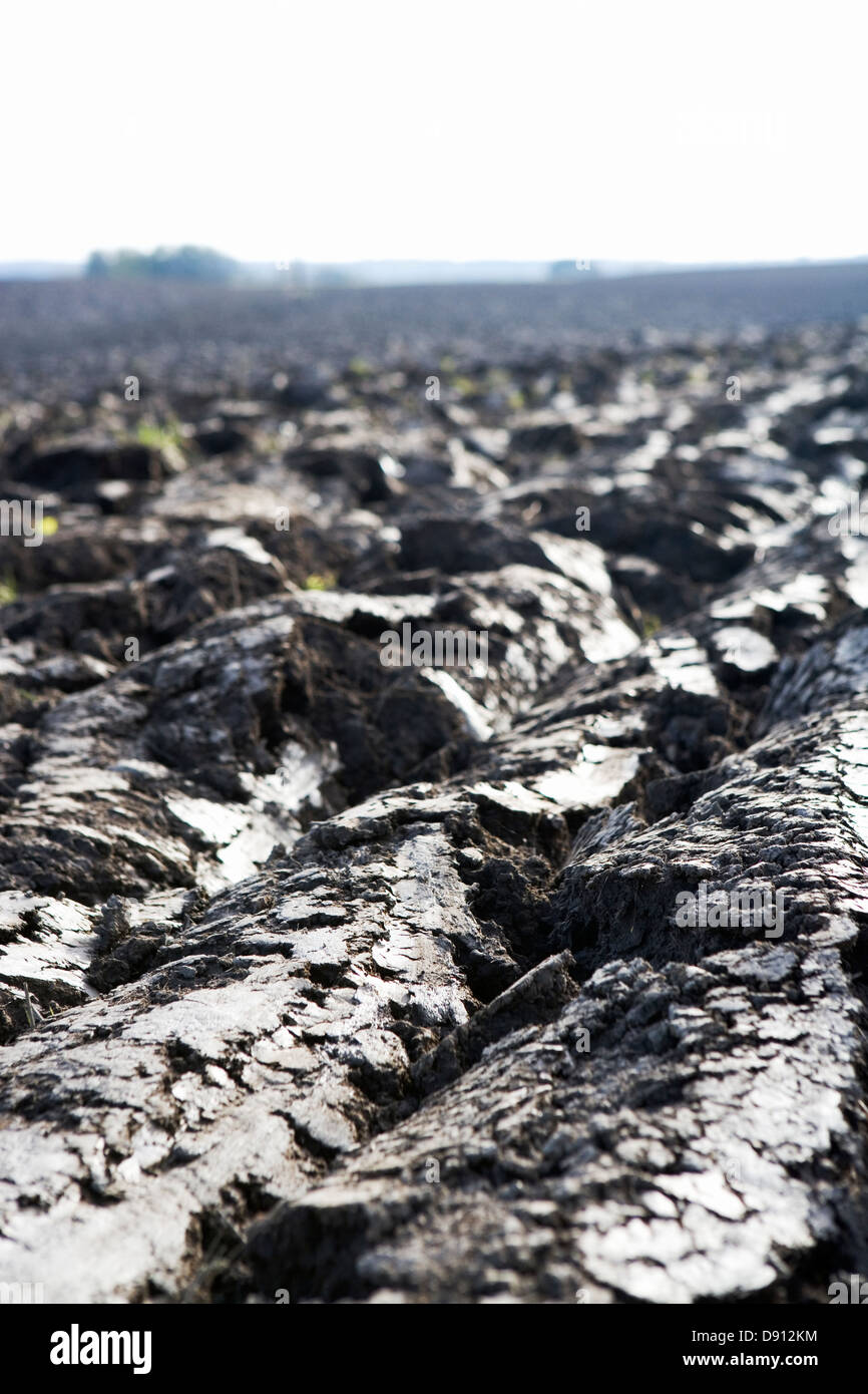 Irregular field hi-res stock photography and images - Alamy