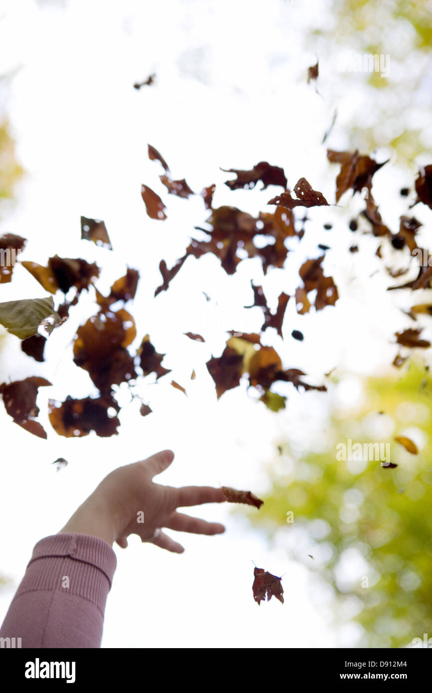 A hand throwing leaves in the air, Sweden Stock Photo - Alamy