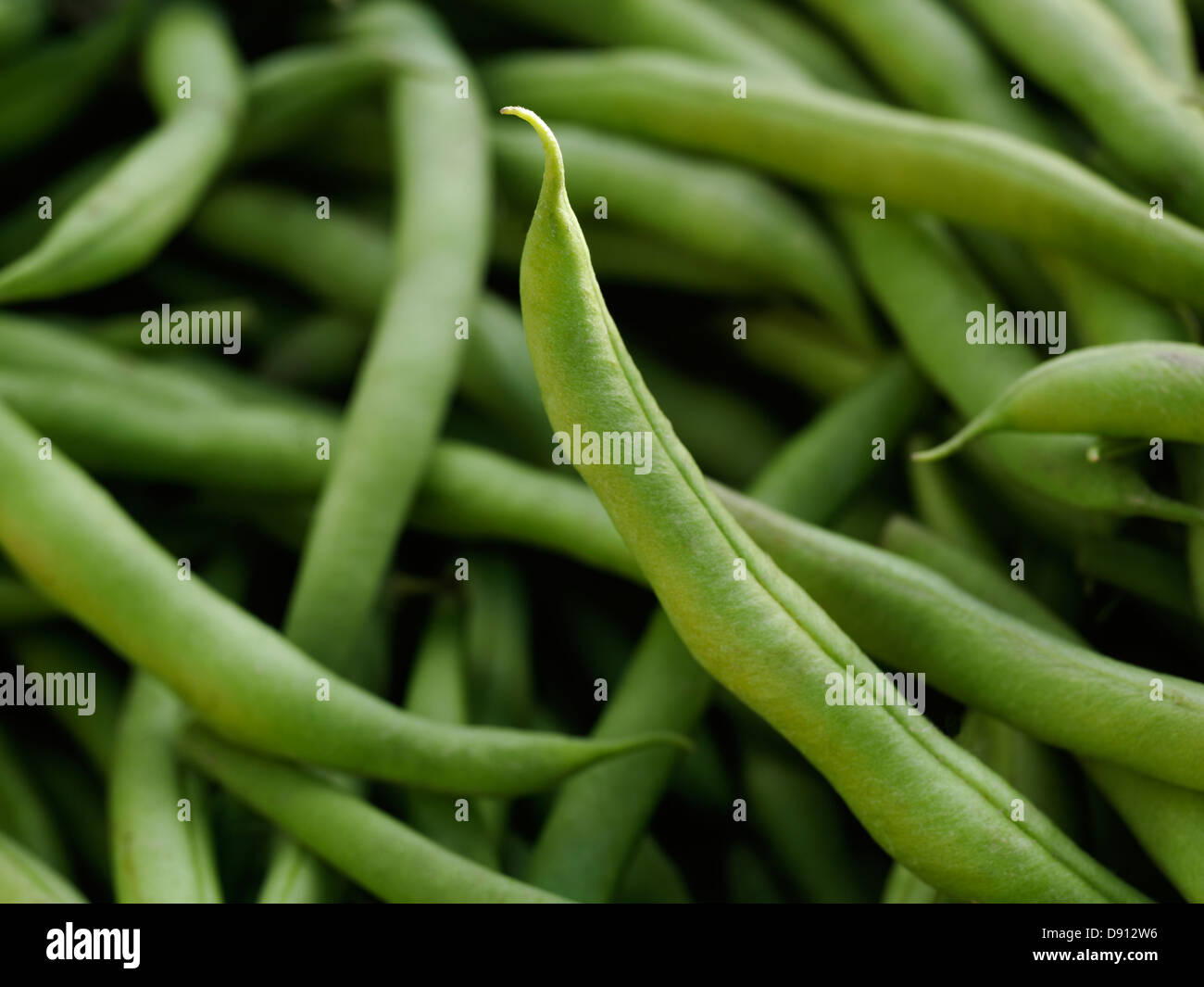 French beans, close-up Stock Photo - Alamy