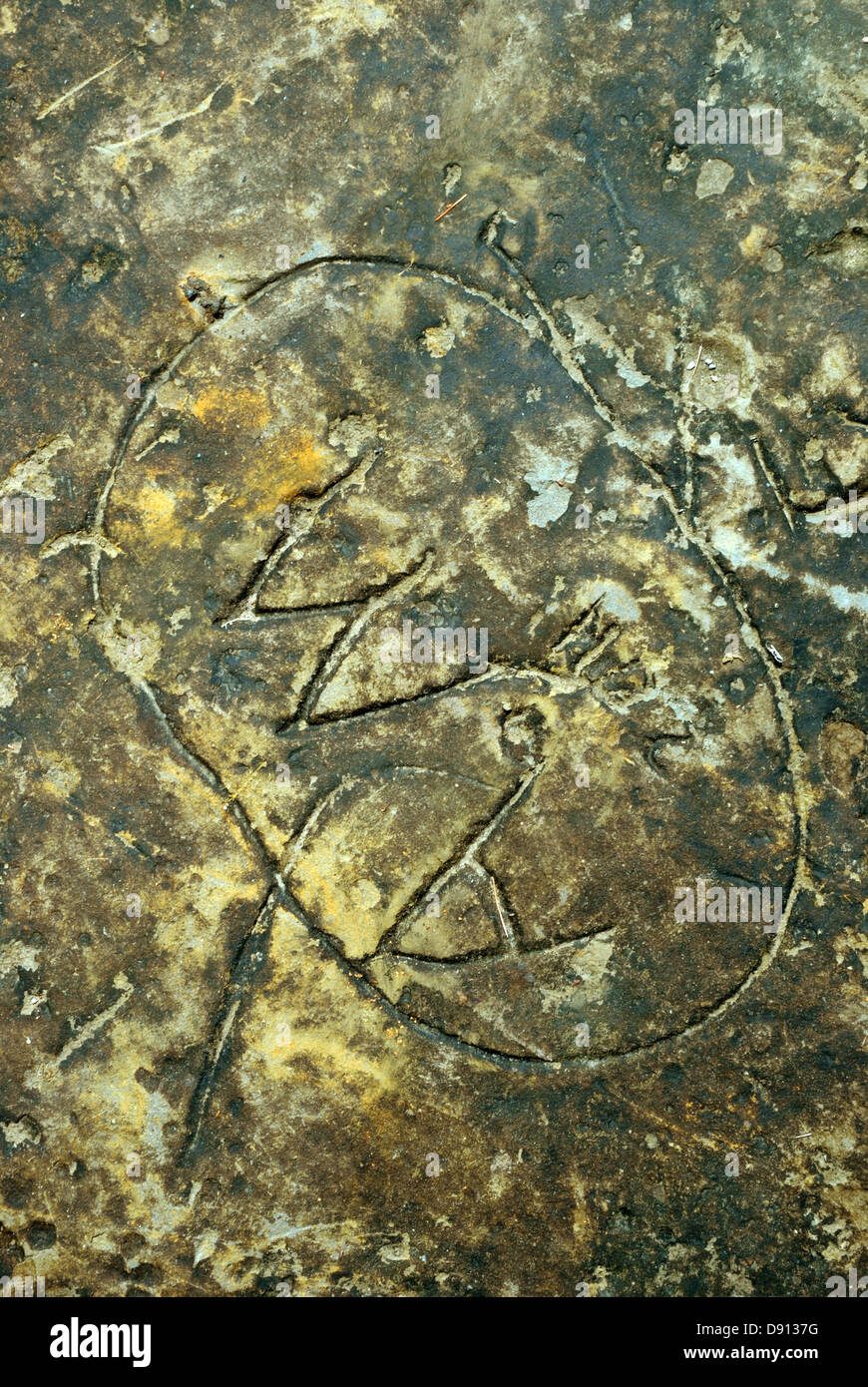 Beach at Kauri Point Centennial Park, Auckland, New Zealand Stock Photo ...