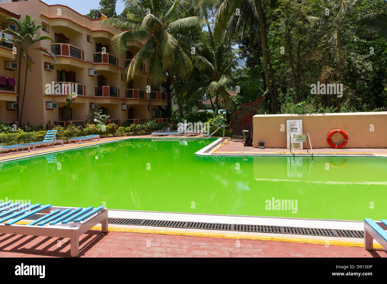 An outdoor swimming pool contaminated with algae Stock Photo - Alamy