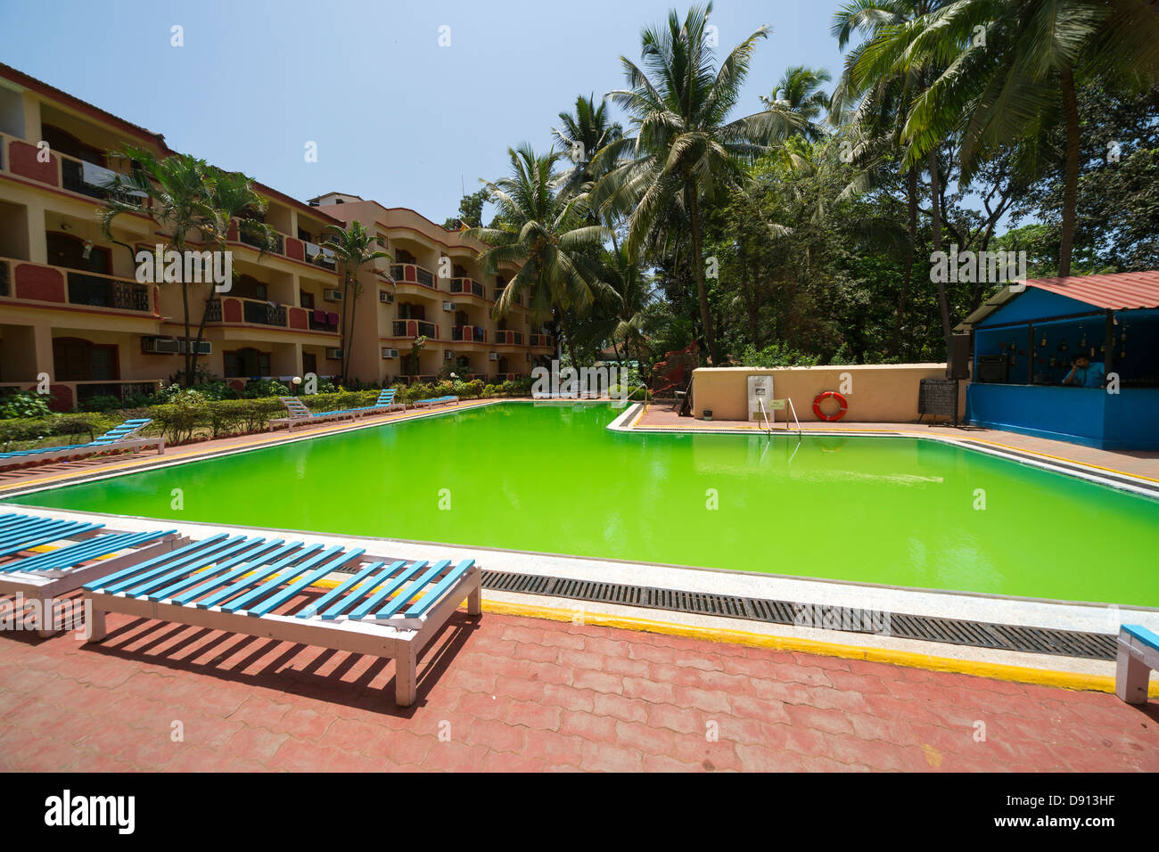 An outdoor swimming pool contaminated with algae Stock Photo - Alamy
