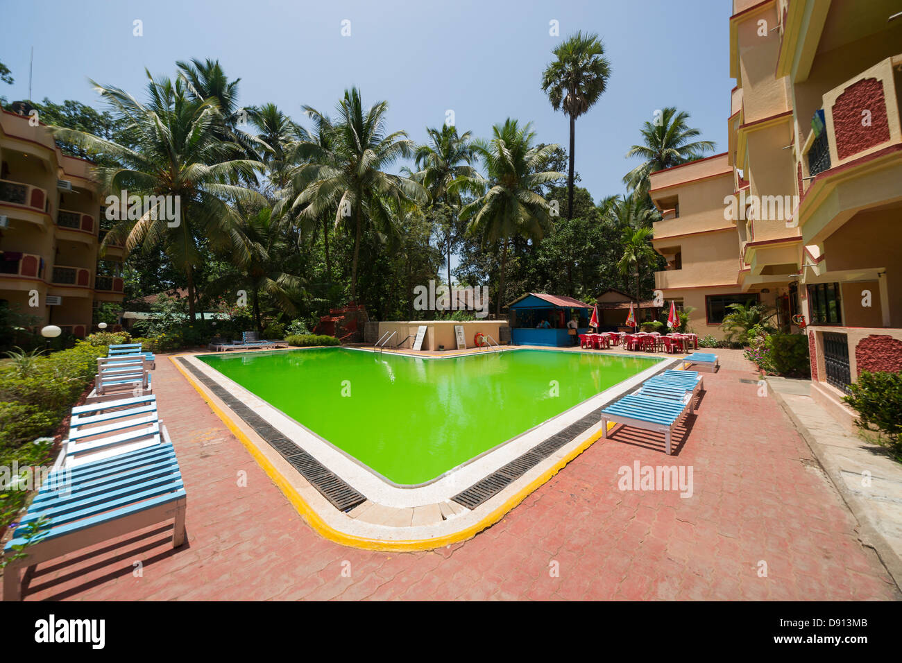 An outdoor swimming pool contaminated with algae Stock Photo - Alamy