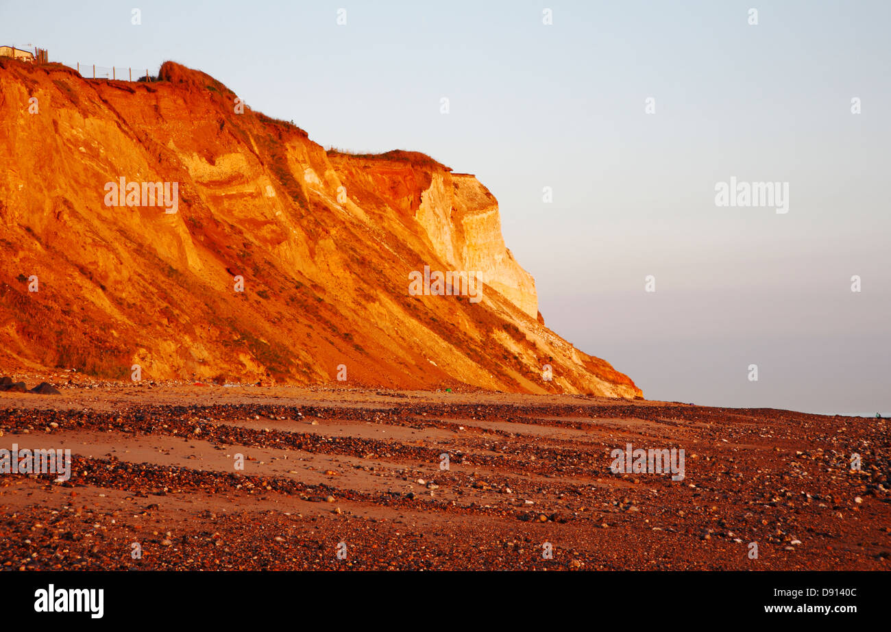 A view of the beach and cliffs reflecting golden early morning sunlight ...