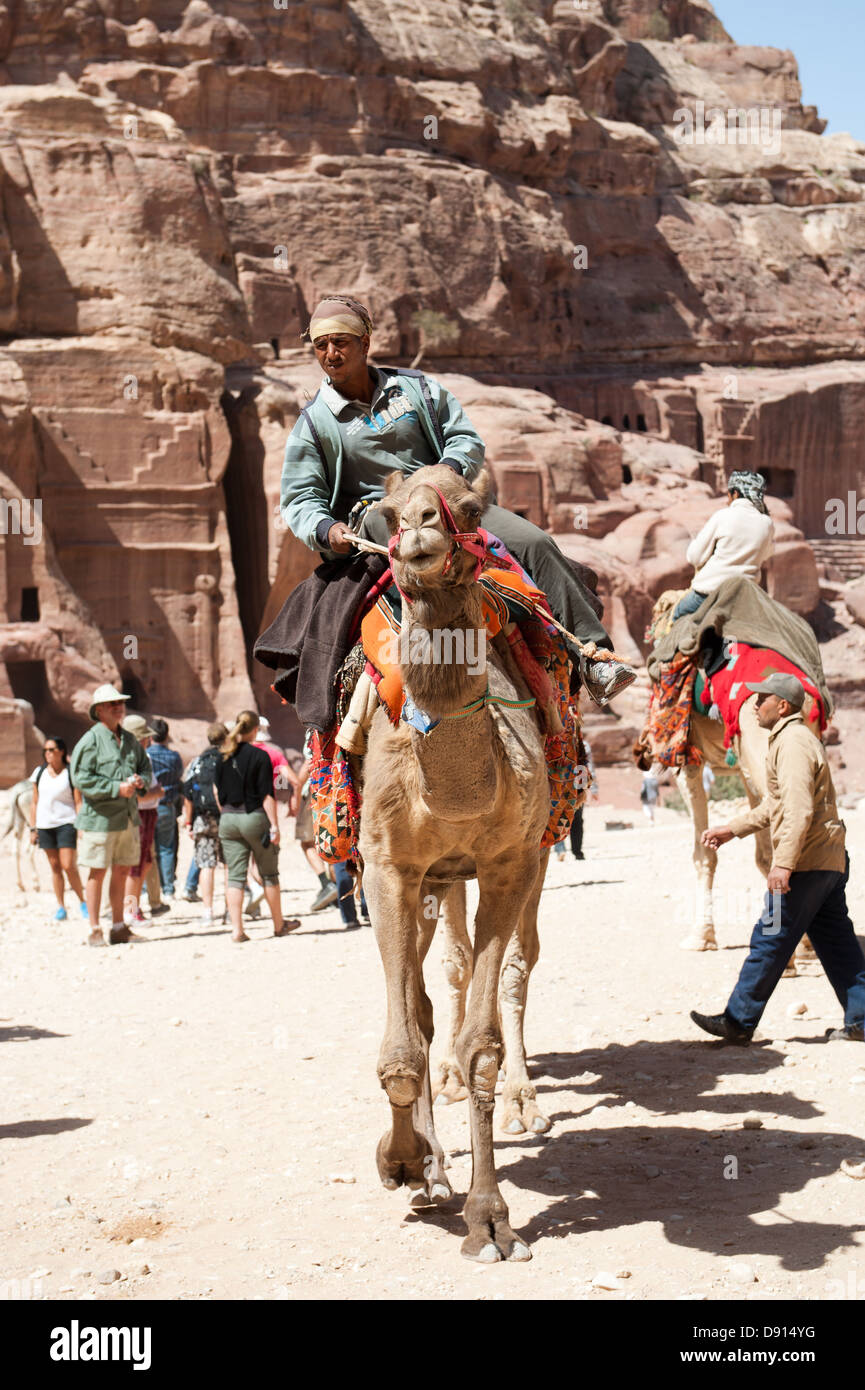 Petra and jordan and camel hi-res stock photography and images - Alamy