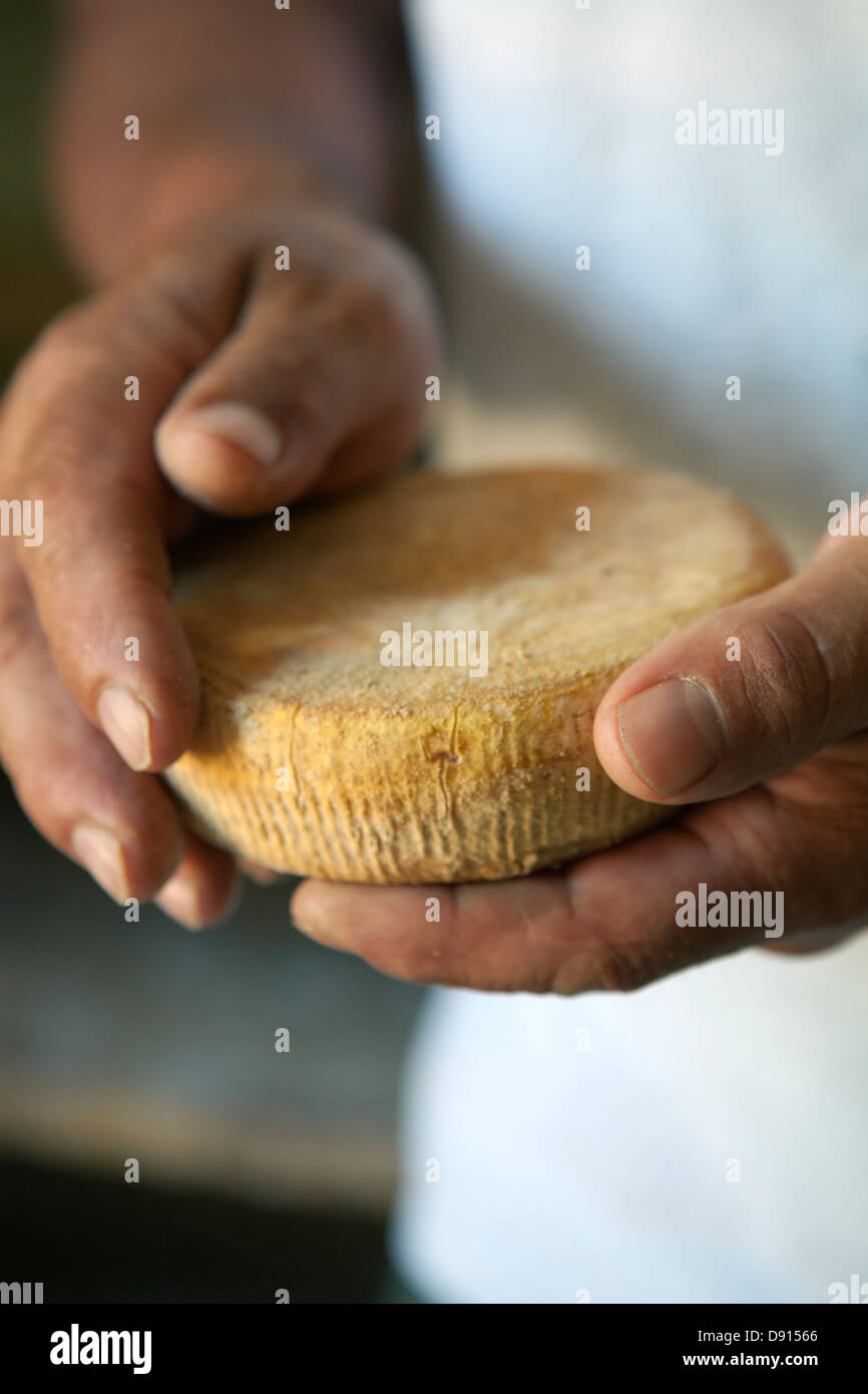 Hands holding chevre cheese Stock Photo - Alamy