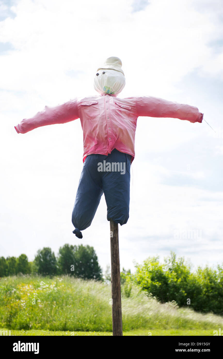 Traditional scarecrow in field Stock Photo - Alamy