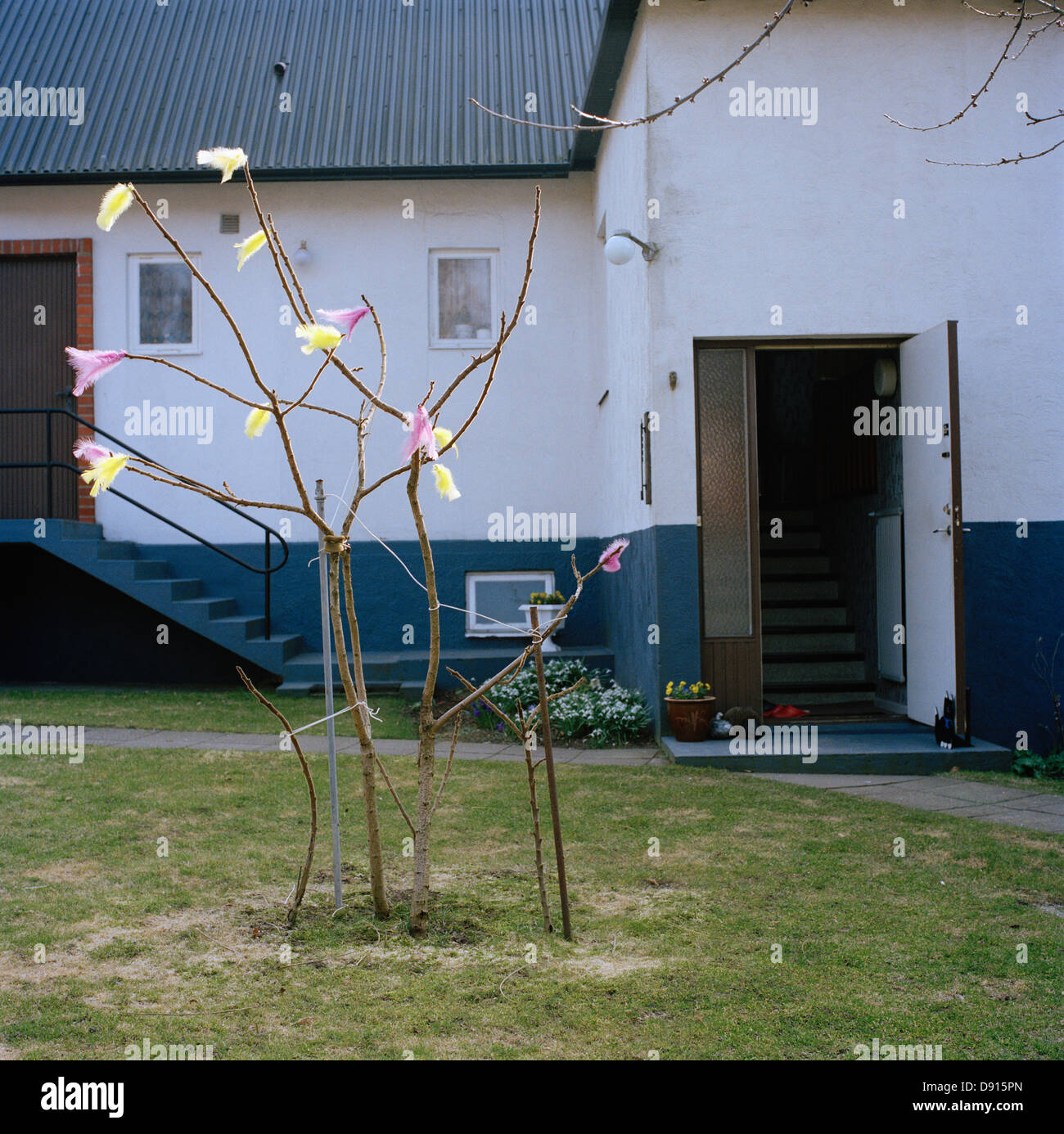 Trees with easter decorations, Sweden Stock Photo - Alamy