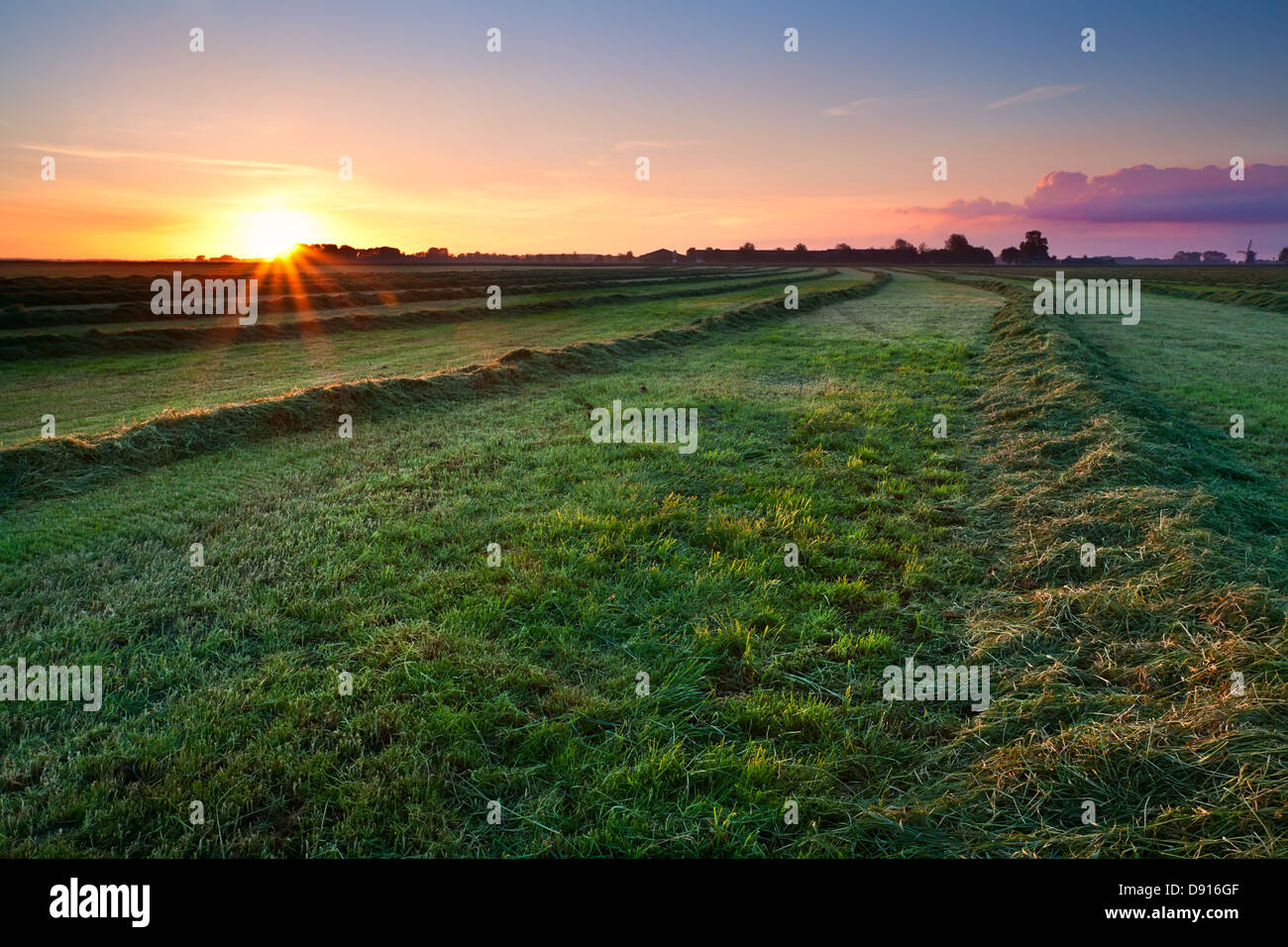 Clipped shape hi-res stock photography and images - Alamy