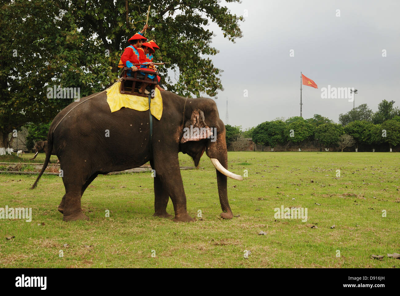 An elephant at the Imperial Citadel, Hue, Vietnam Stock Photo - Alamy