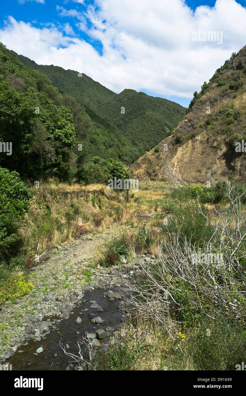 dh Waioeka River WAIOEKA GORGE NEW ZEALAND Valley river and mountains ...
