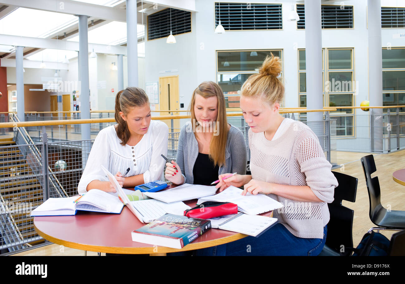 Young women studying together Stock Photo - Alamy